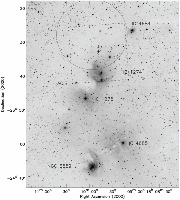 THE YOUNG CLUSTER IN IC 1274 - IOPscience
