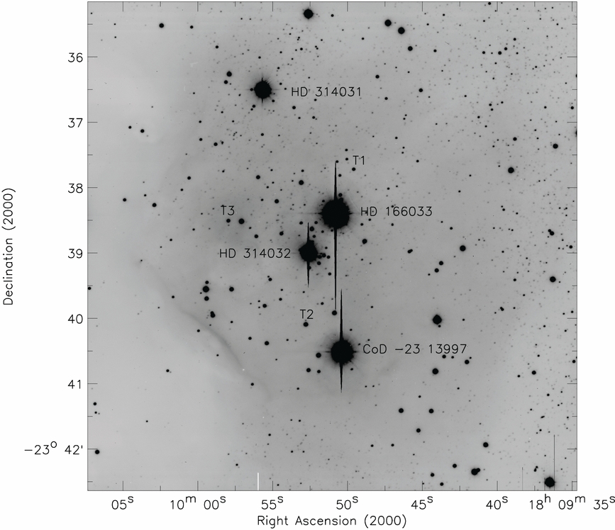 THE YOUNG CLUSTER IN IC 1274 - IOPscience