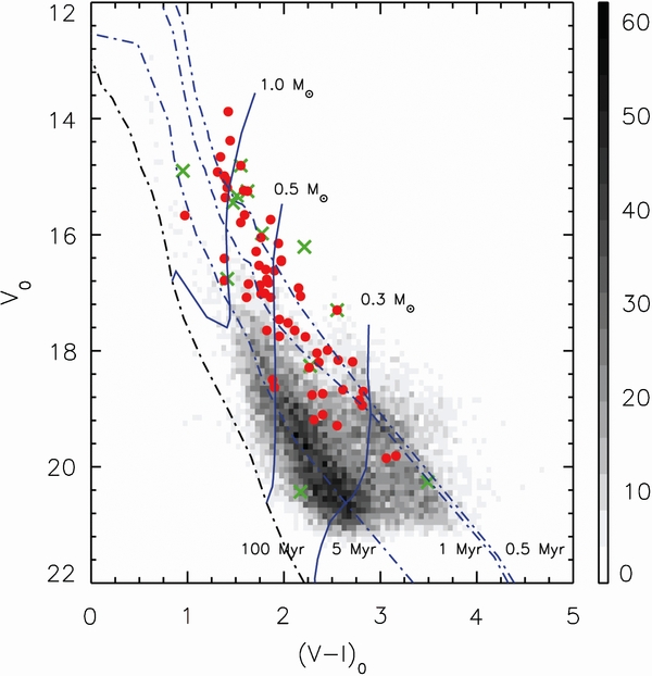 THE YOUNG CLUSTER IN IC 1274 - IOPscience