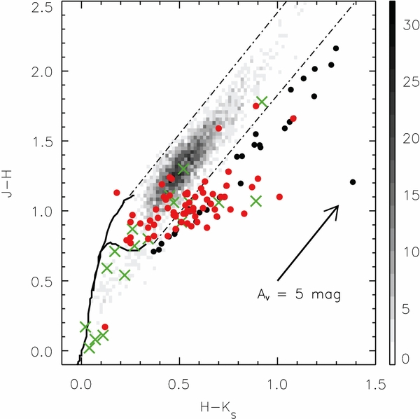 THE YOUNG CLUSTER IN IC 1274 - IOPscience
