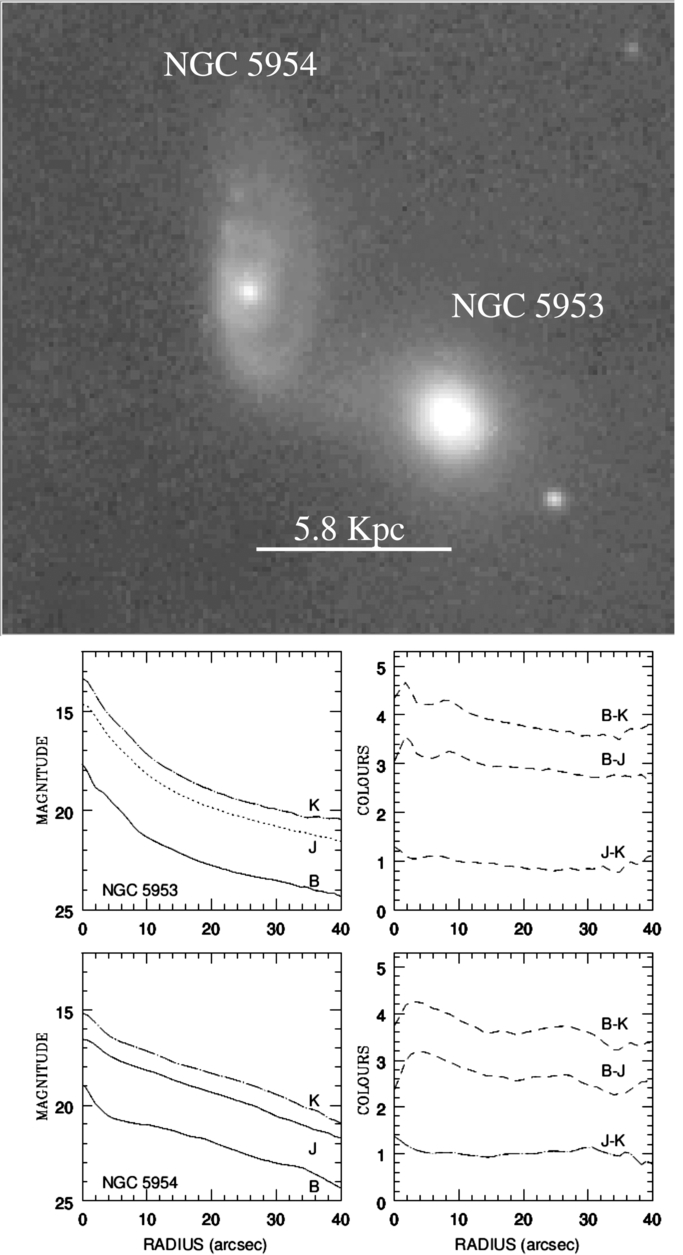 THE MASS DISTRIBUTION AND M/L RATIOS IN NGC 5953/5954 - IOPscience