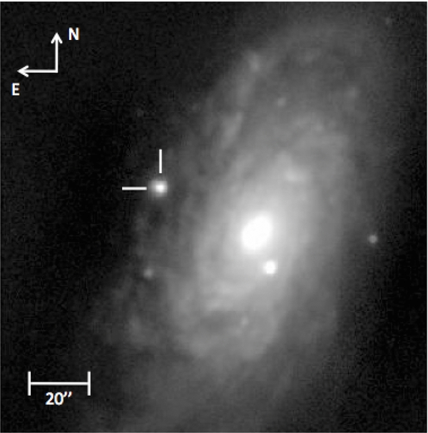 THE TYPE IIb SUPERNOVA 2013df AND ITS COOL SUPERGIANT PROGENITOR ...