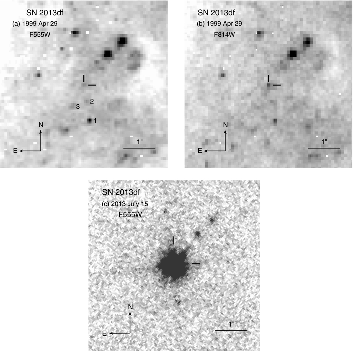 THE TYPE IIb SUPERNOVA 2013df AND ITS COOL SUPERGIANT PROGENITOR ...