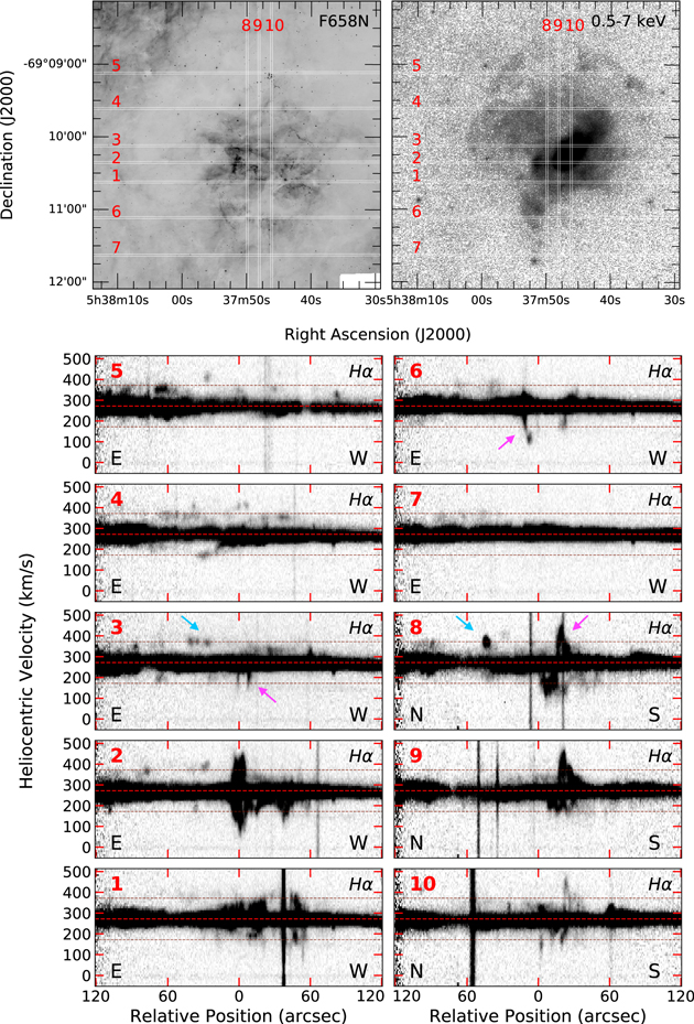 New Insights on 30 Dor B Revealed by High-quality Multiwavelength ...