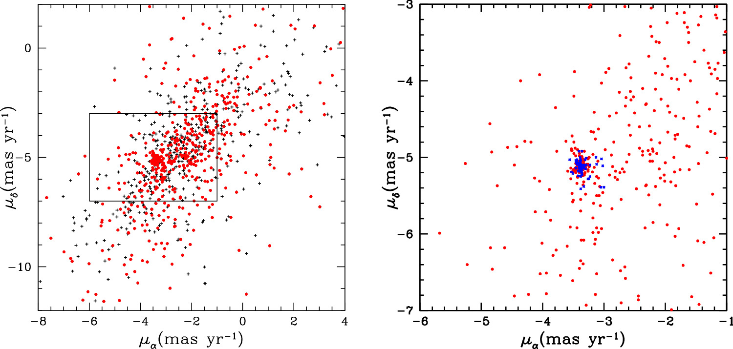 The Stellar Content of the Young Open Cluster Berkeley 50 (IC 1310 ...
