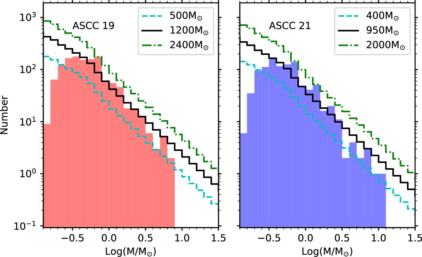 An In-depth Investigation of the Primordial Cluster Pair ASCC 19 and ...