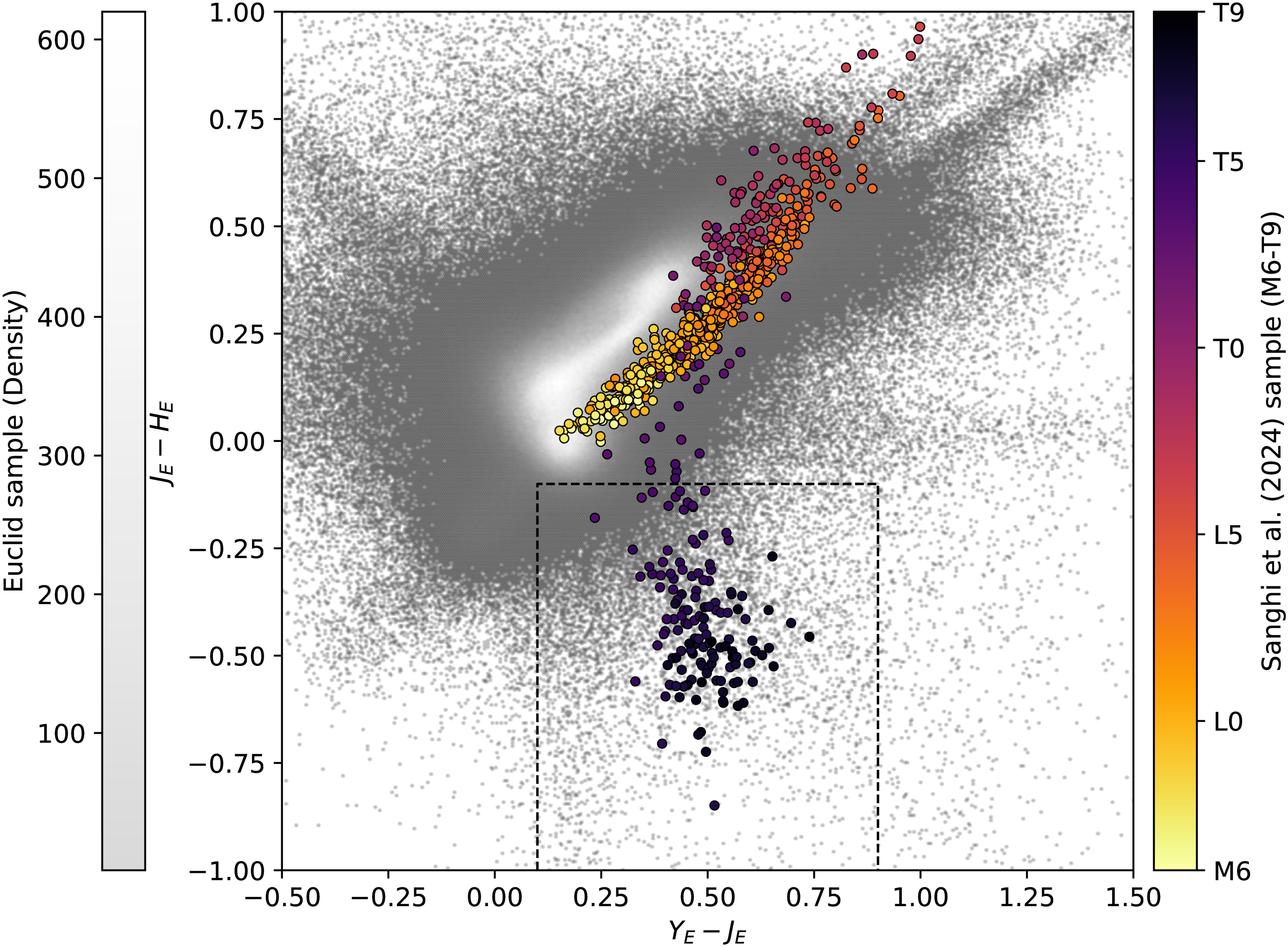 A Search for Late-type Brown Dwarfs in the Euclid Quick Data Release 1 ...