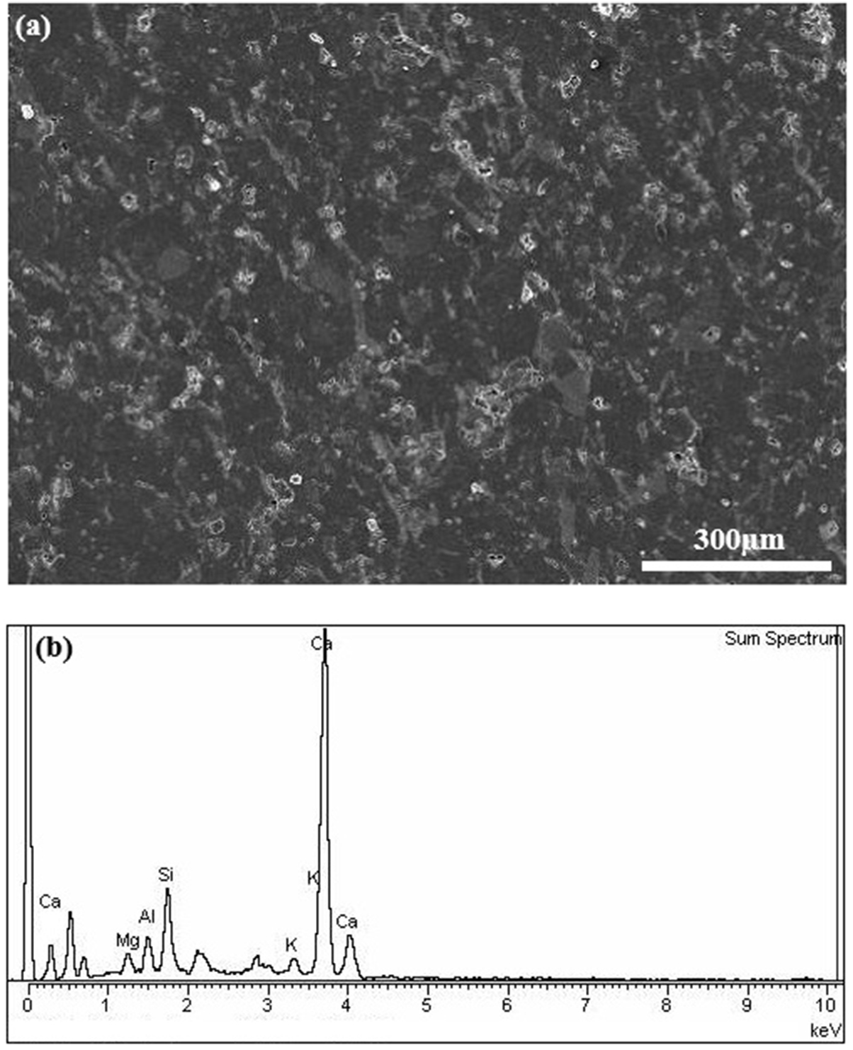 Elemental analysis of limestone by laser-induced breakdown spectroscopy ...
