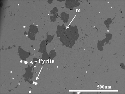 Elemental analysis of limestone by laser-induced breakdown spectroscopy ...