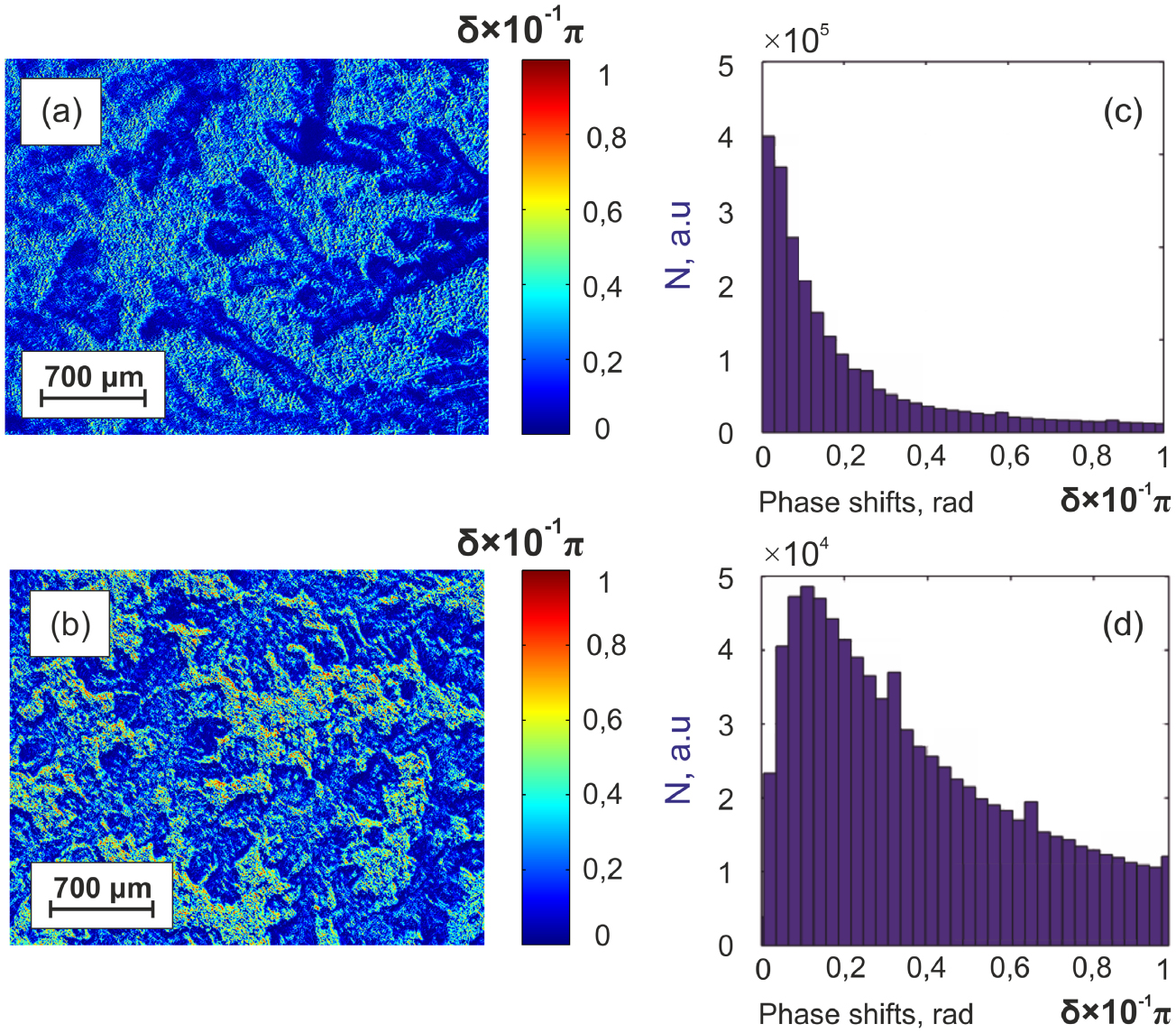 Mapping of polycrystalline films of biological fluids utilizing the ...