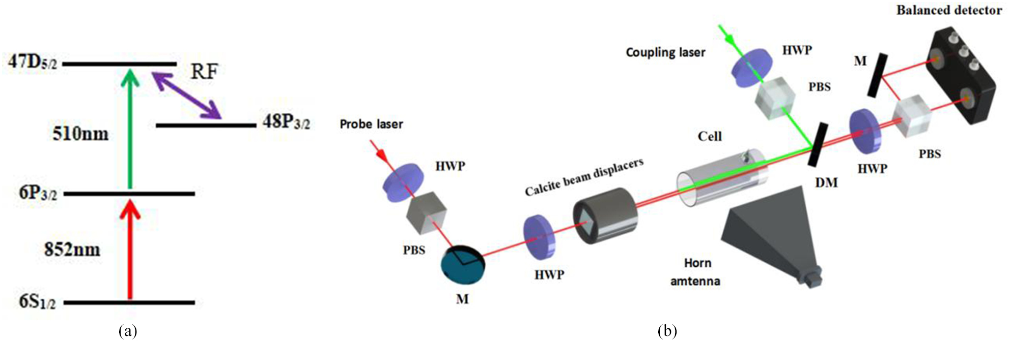 Detuning radio-frequency electrometry using Rydberg atoms in a room ...