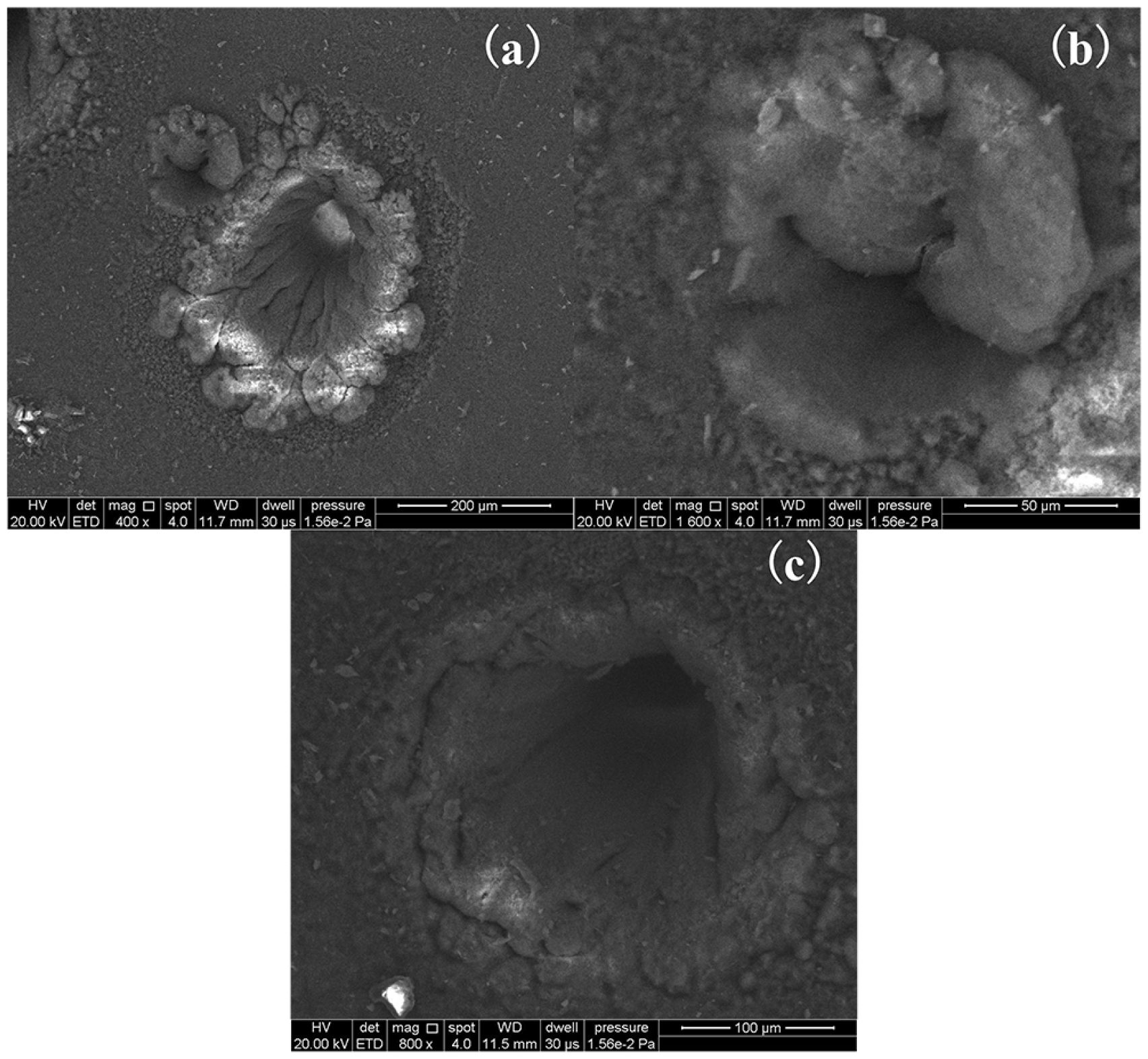 High-energy hundred-picosecond fiber-solid hybrid laser and its ...