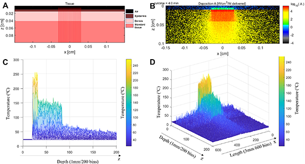 Estimation of laser light propagation in biological tissue during laser ...