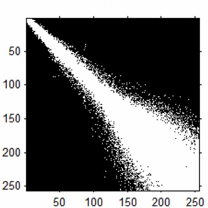 Dynamic laser speckle study on the effect of TiO2 and SiO2 ...