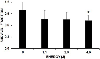 Low-power infrared laser on survival, proliferation, and reactive ...
