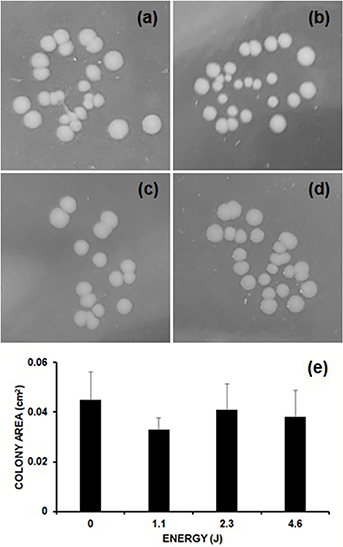 Low-power infrared laser on survival, proliferation, and reactive ...