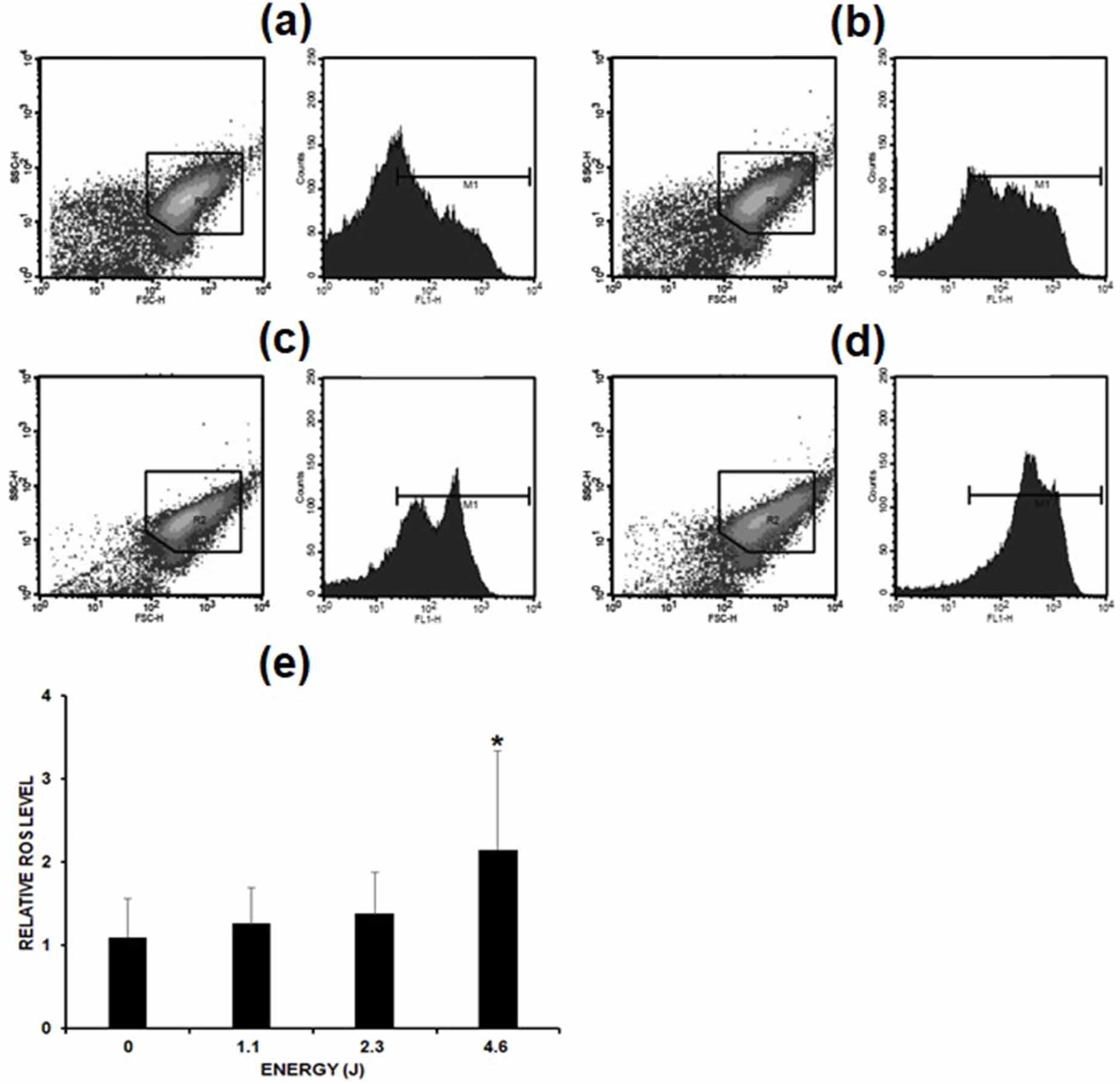 Low-power infrared laser on survival, proliferation, and reactive ...