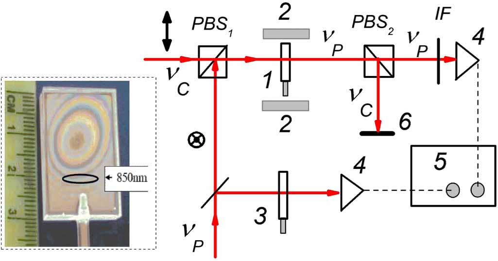 Electromagnetically induced transparency with magnetically induced ...