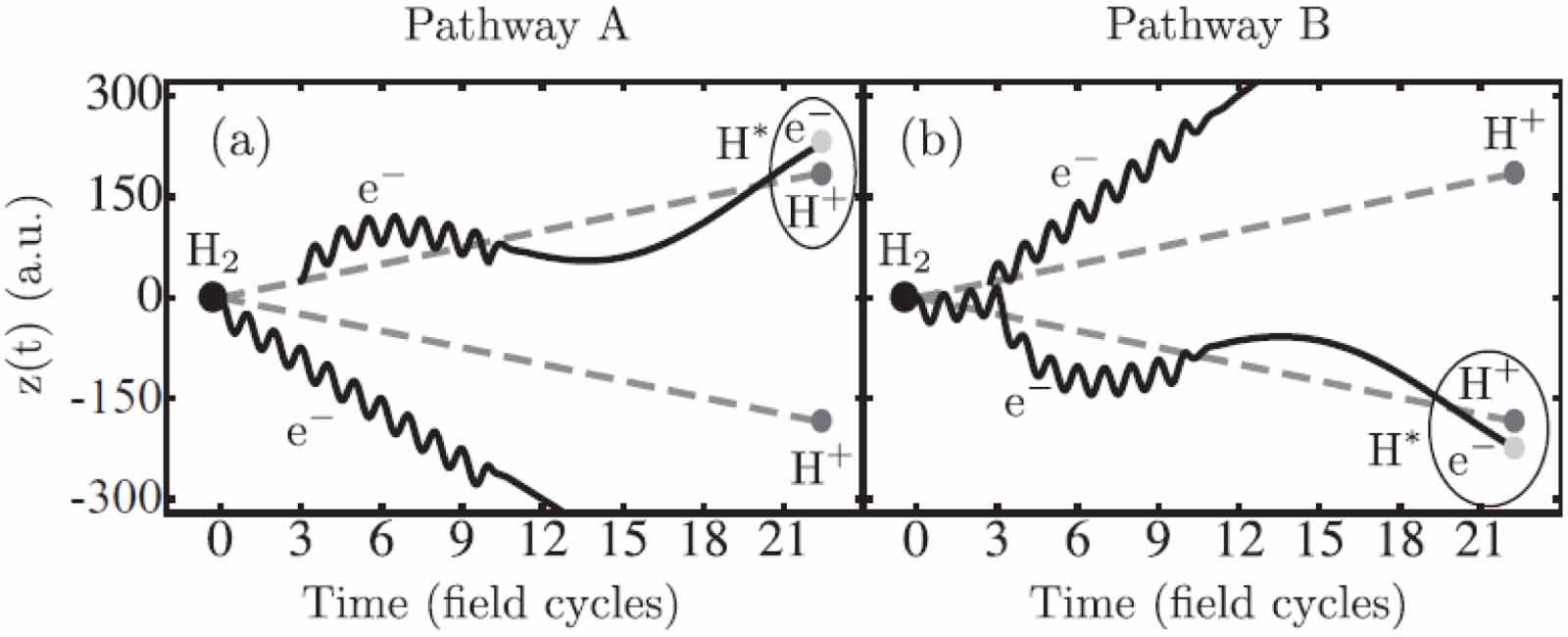 Trajectory-based models in strong-field physics - IOPscience