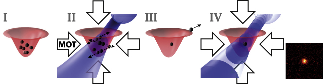 Preparation of a single atom in an optical microtrap - IOPscience