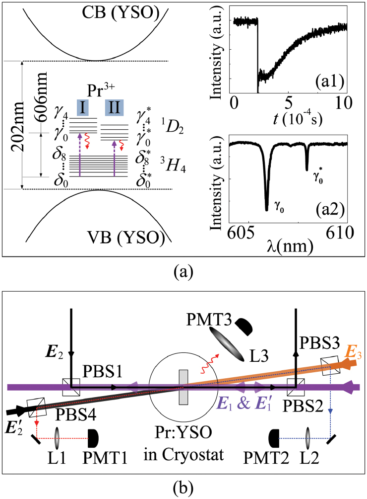 Seeded spontaneous parametric four-wave mixing and fluorescence of Pr3 ...