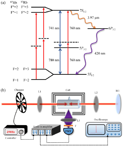 A stable frequency standard based on the one-color two-photon 5S–7S ...
