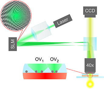 Configurable vortex laser beams for optical manipulations of ...