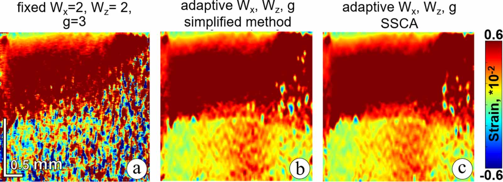 Computationally efficient adaptive optimization of vector-method parameters for phase-sensitive ...