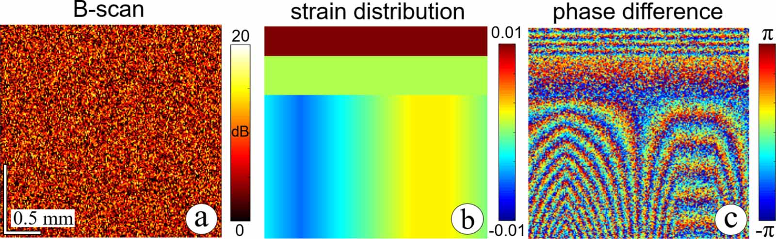 Computationally efficient adaptive optimization of vector-method parameters for phase-sensitive ...