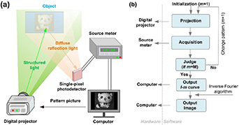Weak-light single-pixel imaging based on self-powered photodiodes ...