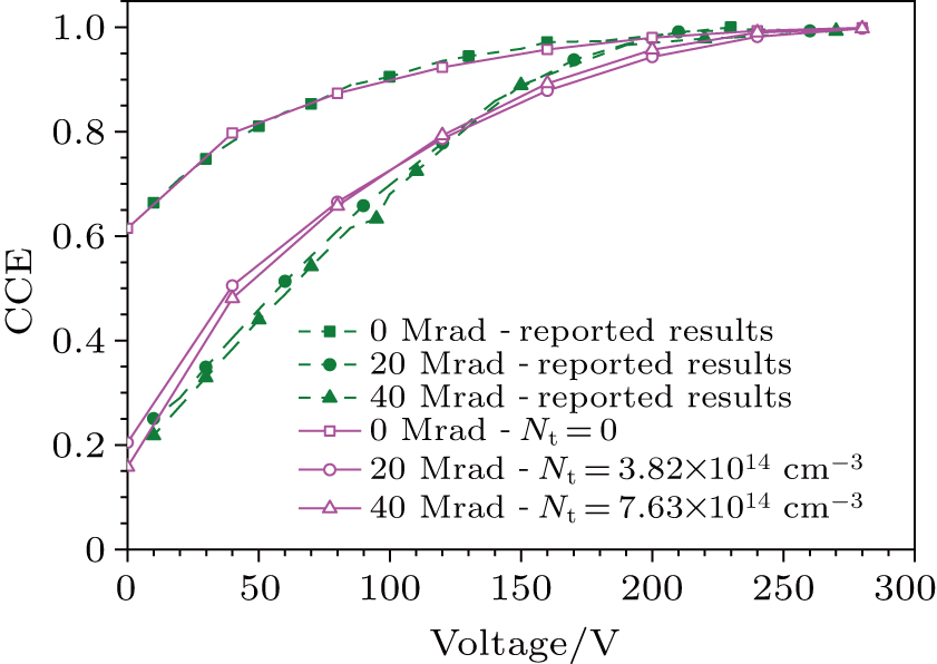 Simulation of SiC radiation detector degradation - IOPscience