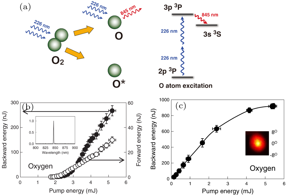 Air lasing: Phenomena and mechanisms - IOPscience