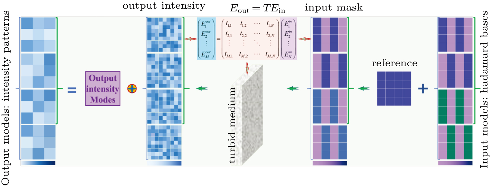 Phase-shift interferometry measured transmission matrix of turbid ...