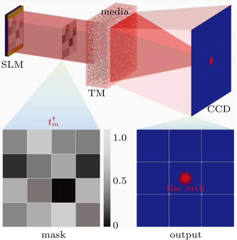 Phase-shift interferometry measured transmission matrix of turbid ...