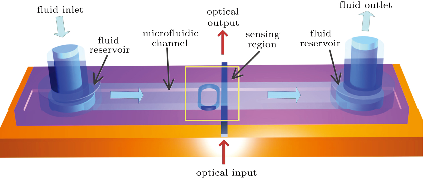 Integrated silicon-based suspended racetrack micro-resonator for ...