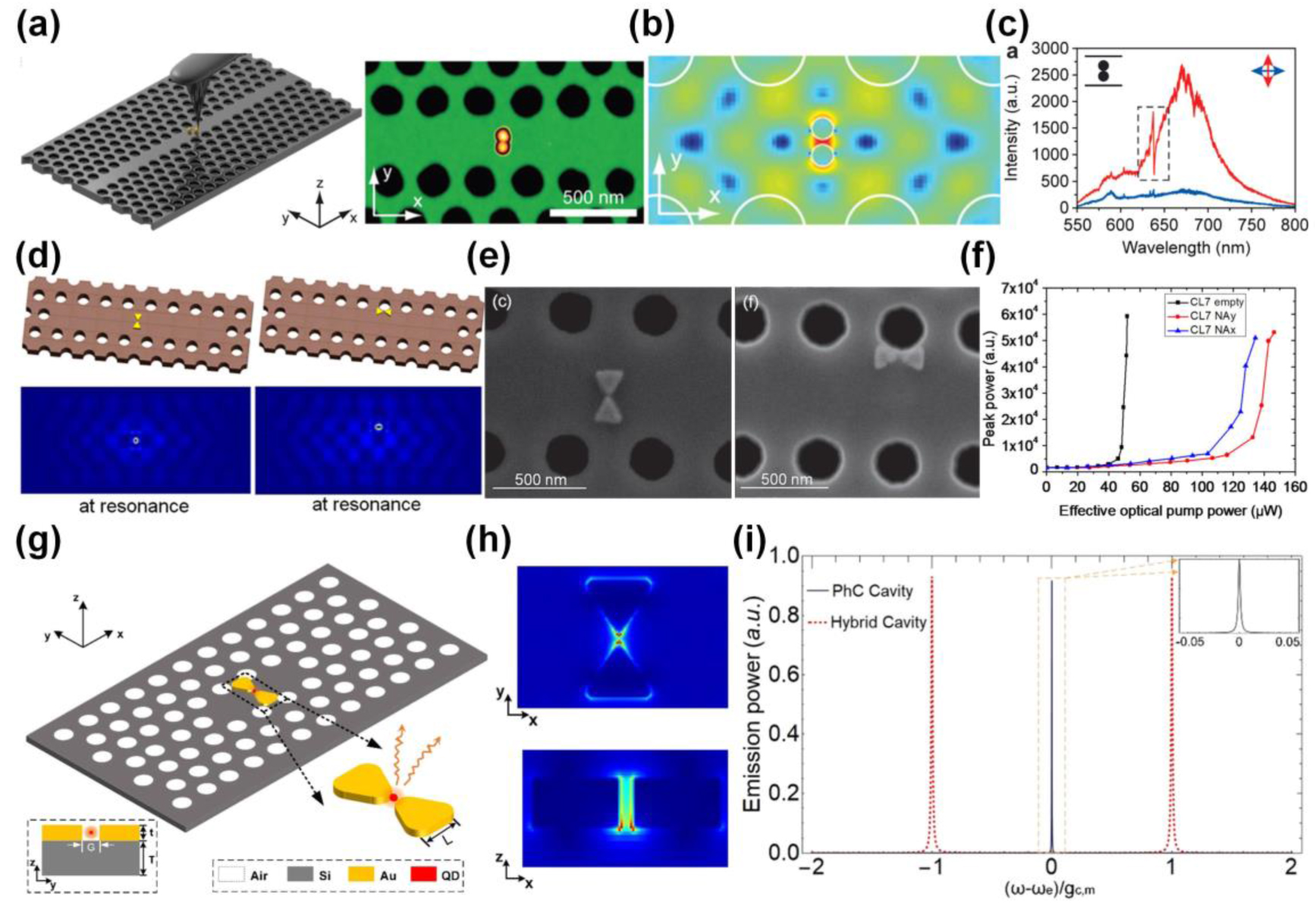Photonic-plasmonic hybrid microcavities: Physics and applications ...
