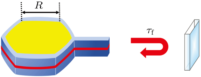 Sensitivity to external optical feedback of circular-side hexagonal resonator microcavity laser ...