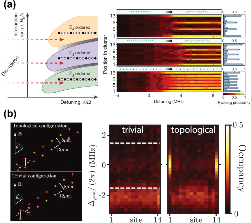 A concise review of Rydberg atom based quantum computation and quantum simulation - IOPscience