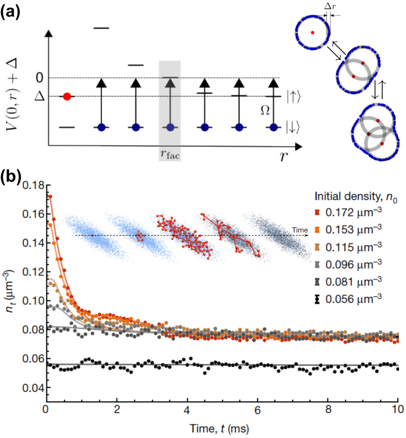A concise review of Rydberg atom based quantum computation and quantum ...