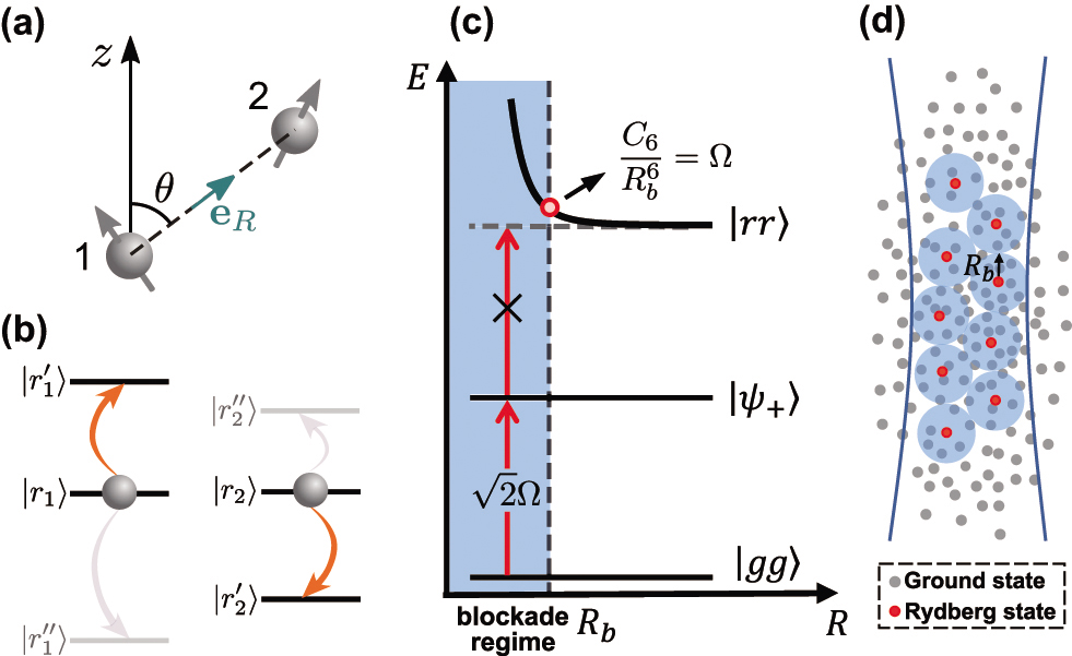 A concise review of Rydberg atom based quantum computation and quantum simulation - IOPscience