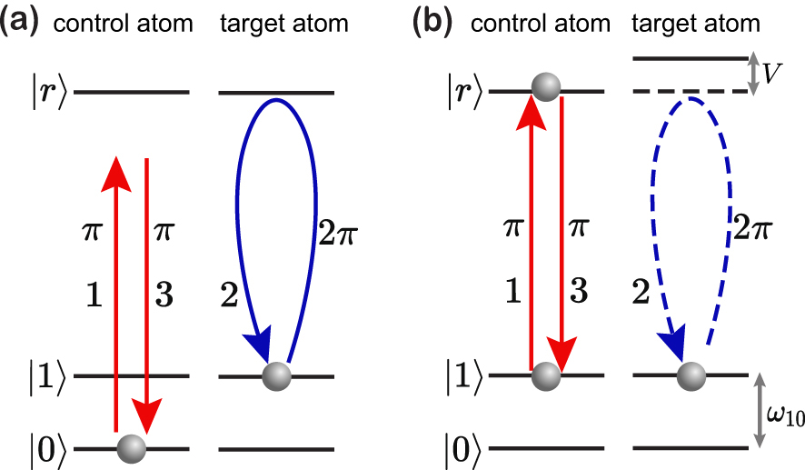 A concise review of Rydberg atom based quantum computation and quantum simulation - IOPscience