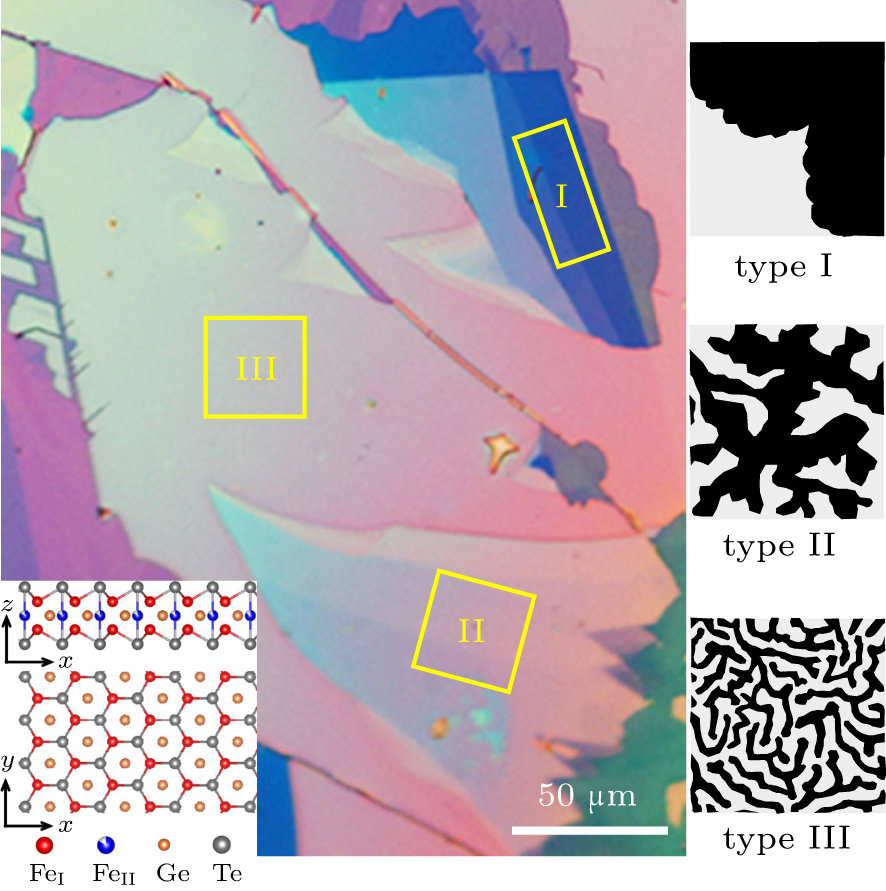 Evolution of domain structure in Fe3GeTe2 - IOPscience