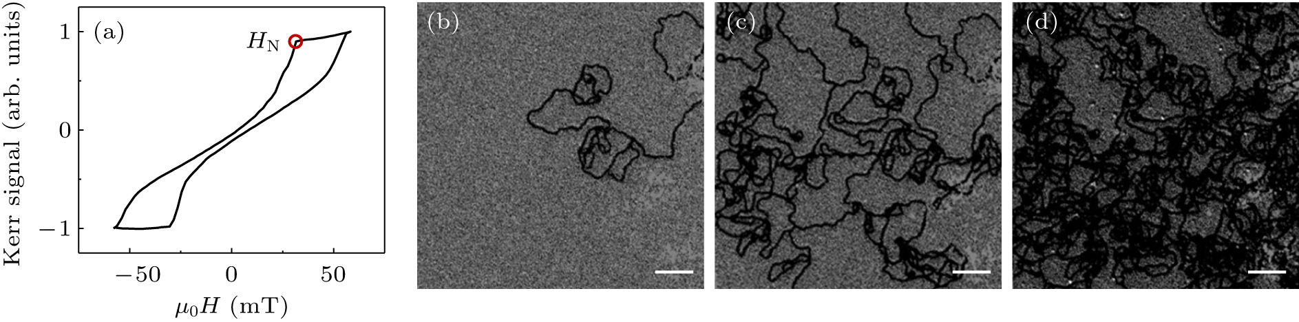 Evolution of domain structure in Fe3GeTe2 - IOPscience