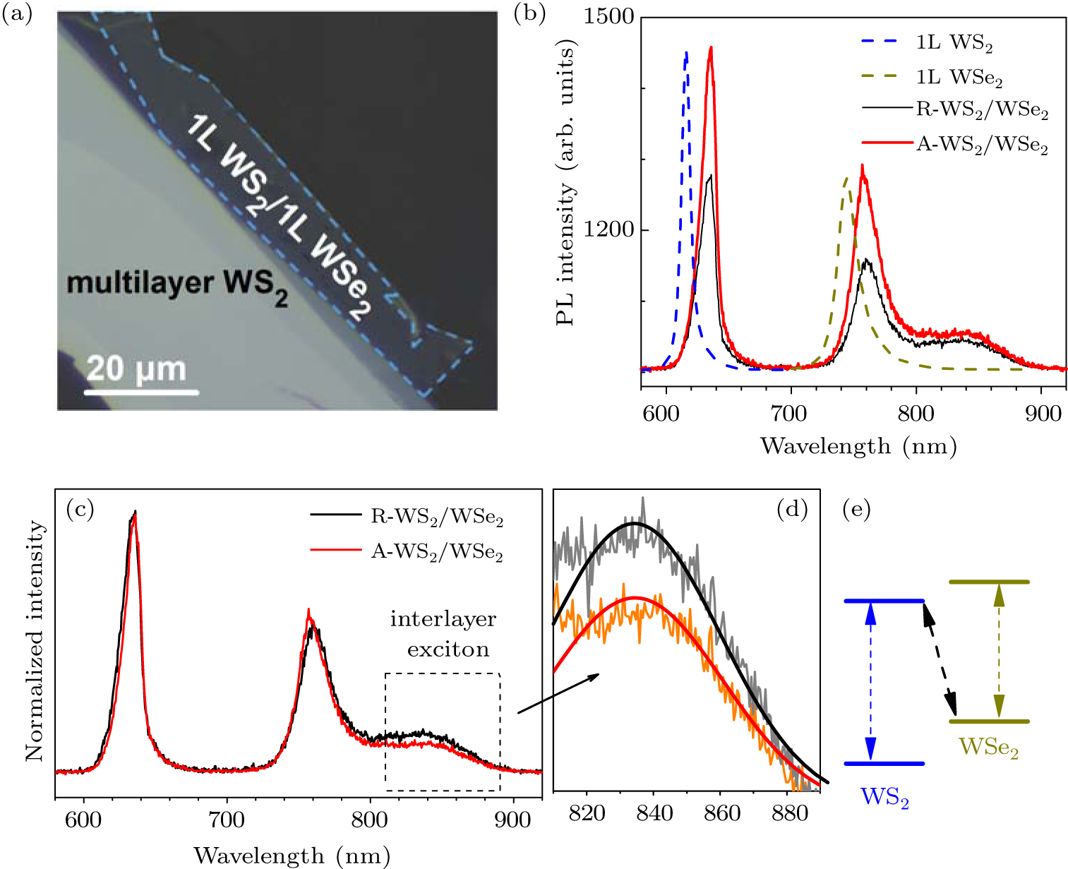 Polarized photoluminescence spectroscopy in WS2, WSe2 atomic layers and ...