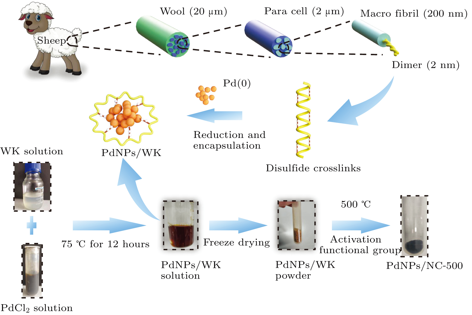 Palladium nanoparticles/wool keratin-assisted carbon composite-modified ...