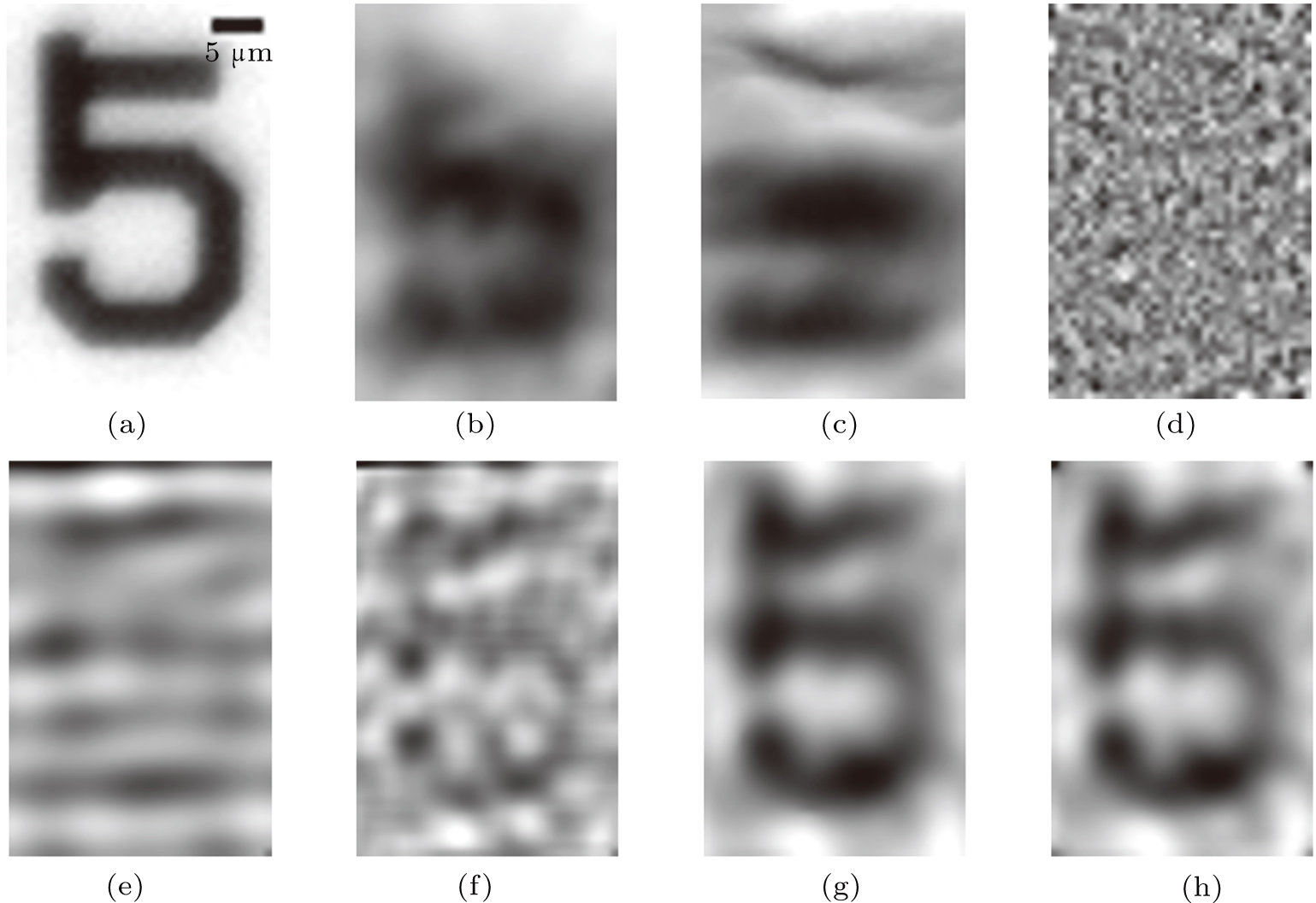 Efficient implementation of x-ray ghost imaging based on a modified compressive sensing ...
