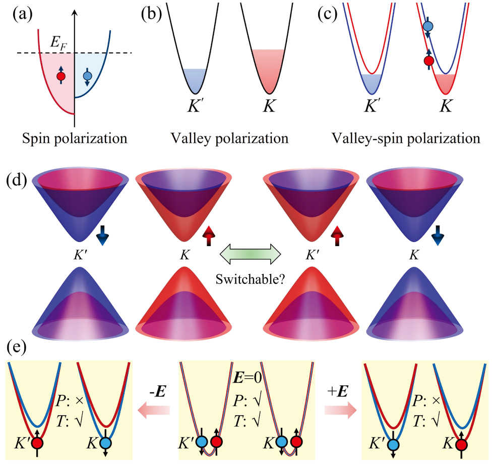Perspectives of spin-valley locking devices - IOPscience
