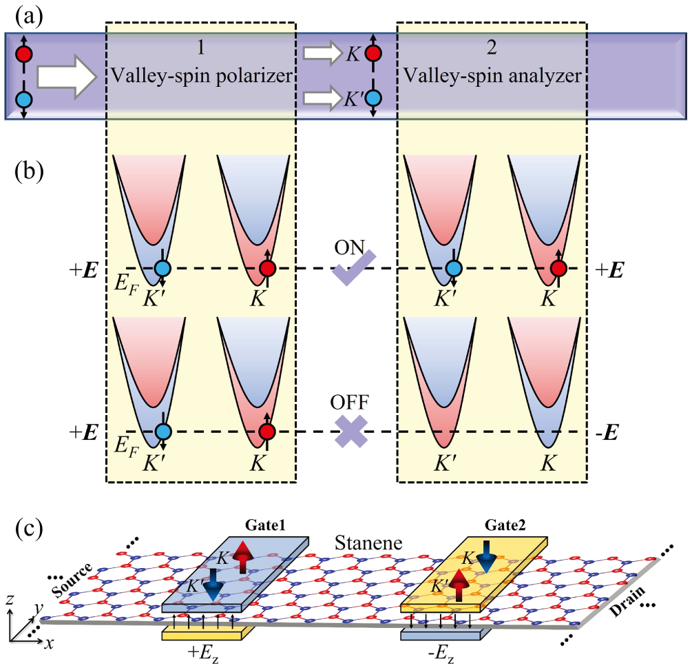 Perspectives of spin-valley locking devices - IOPscience