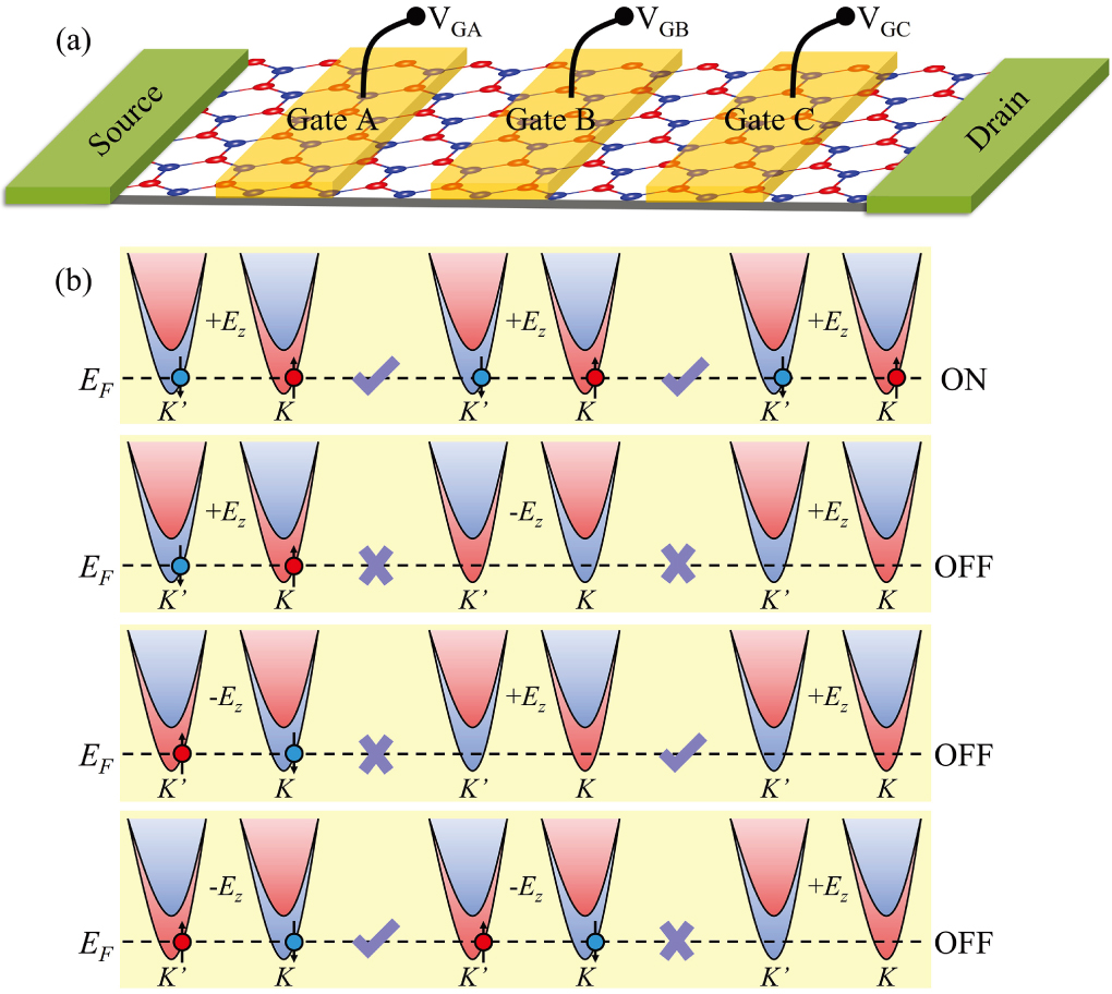 Perspectives of spin-valley locking devices - IOPscience