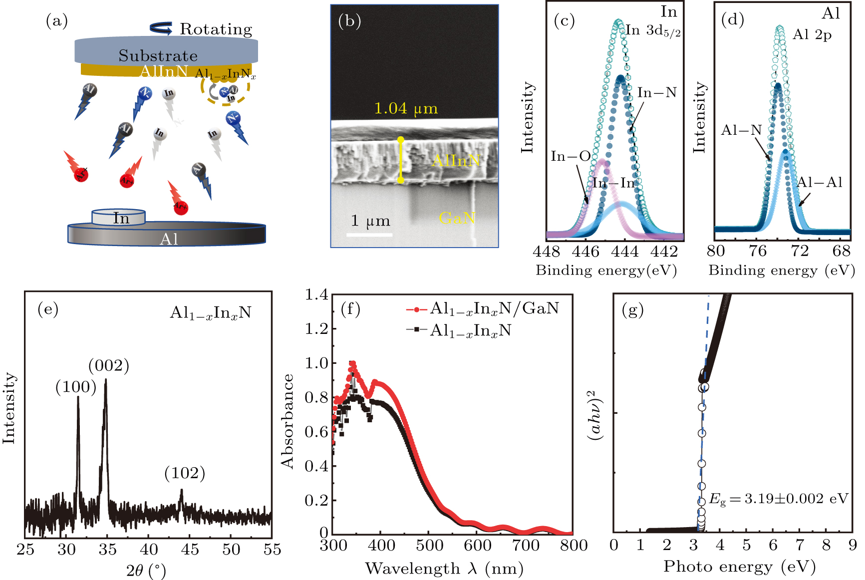 Facile integration of an Al-rich Al1–x In x N photodetector on free ...